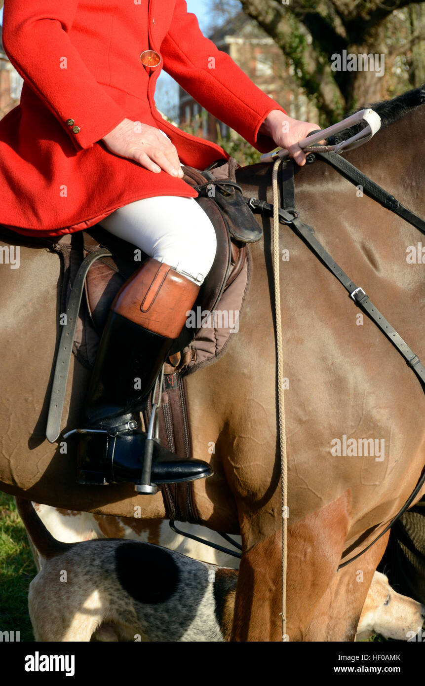 Bicester and whaddon hunt hi-res stock photography and images - Alamy