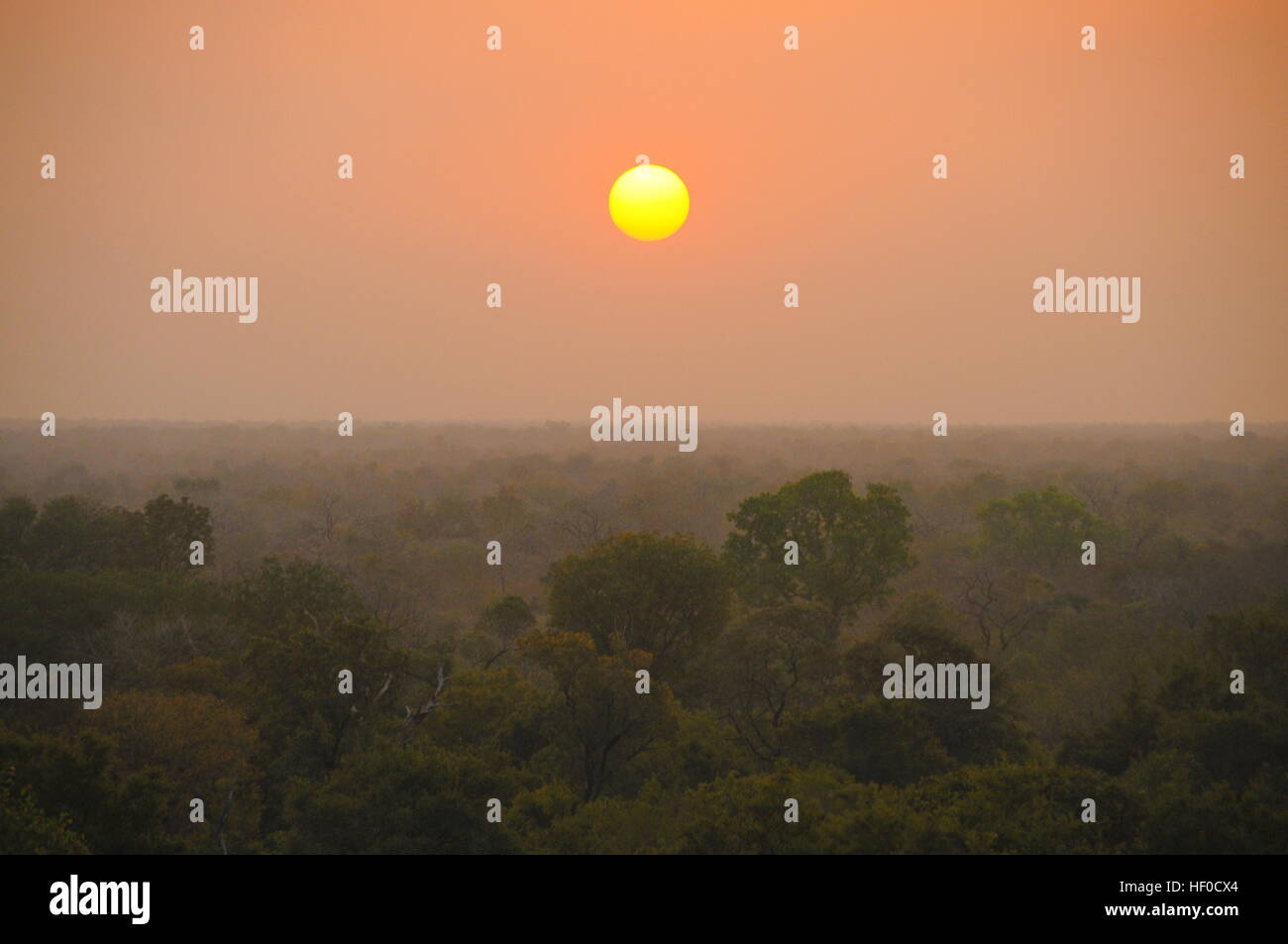 Accra. 24th Dec, 2016. Sunset is seen at the Mole National Park in ...