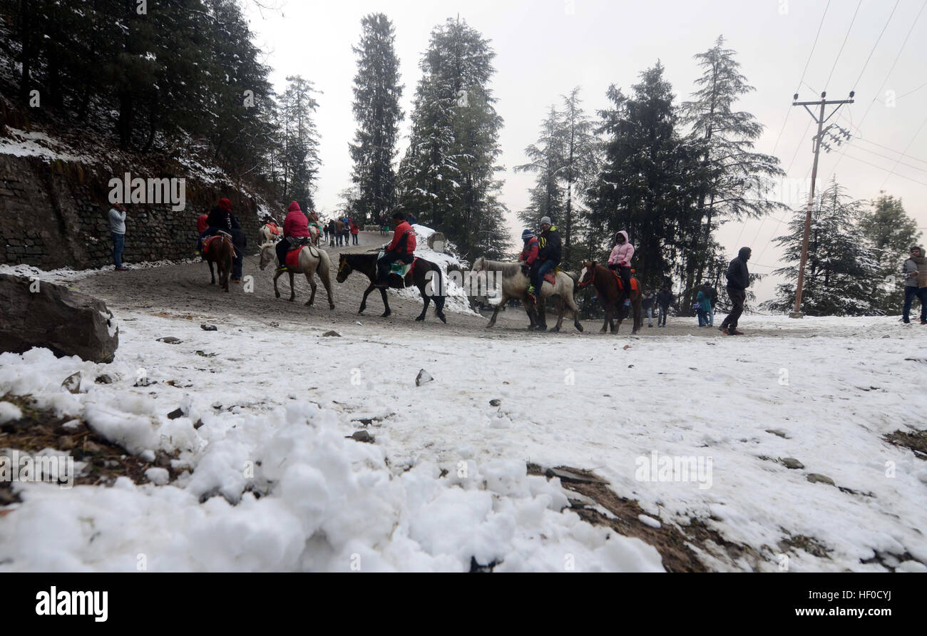 Shimla, India. 25th Dec, 2016. Tourists enjoy horse riding as snow ...