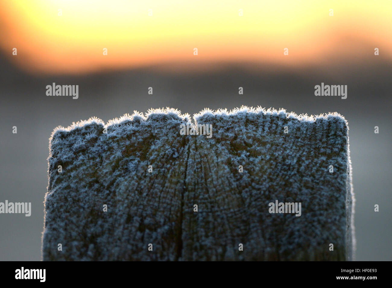 Frost covered oak fence post Stock Photo - Alamy