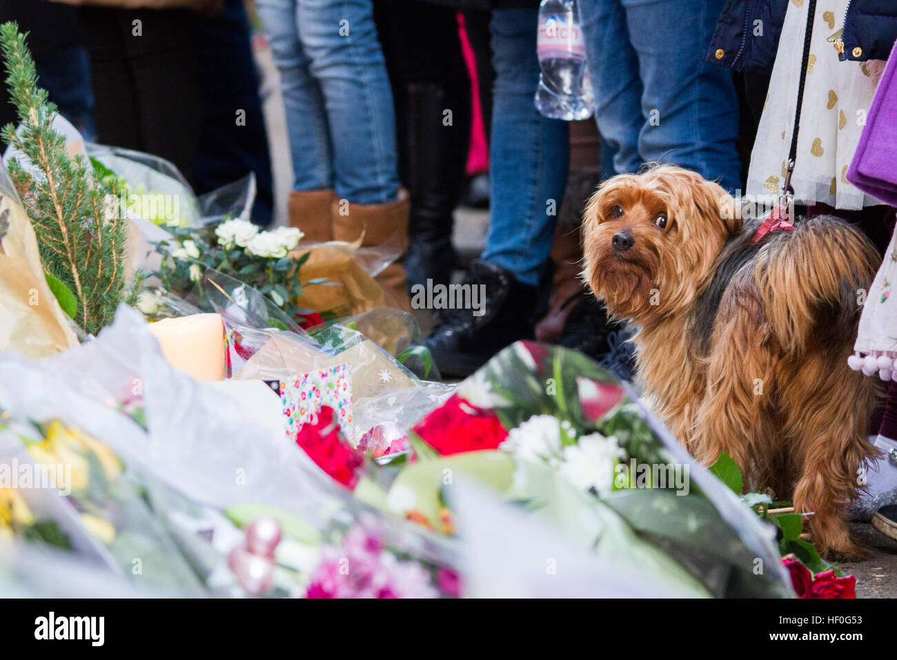 George michael with his dog hi-res stock photography and images - Alamy