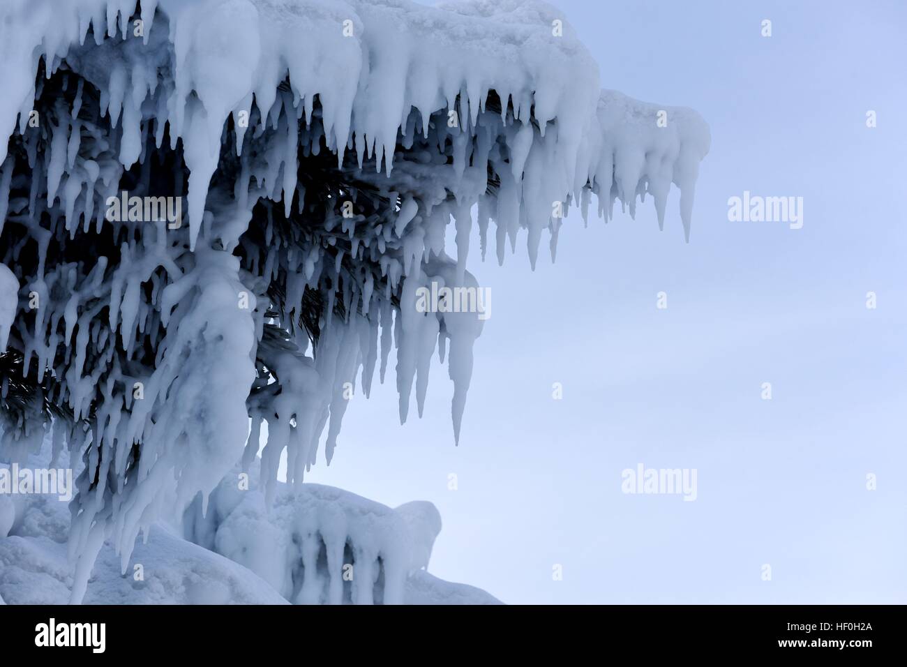 China’s in the arctic hi-res stock photography and images - Alamy