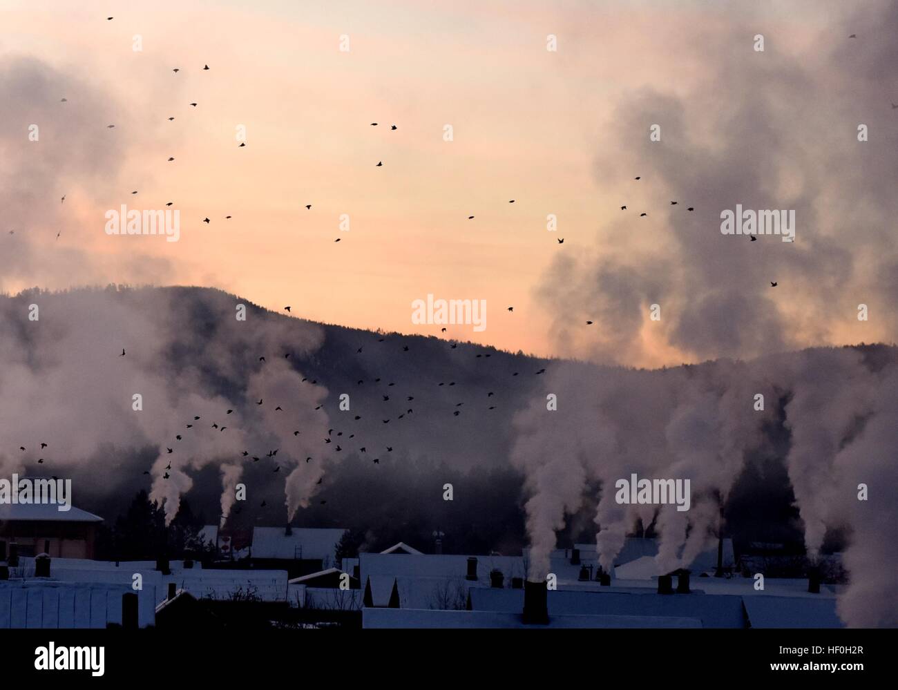 China’s in the arctic hi-res stock photography and images - Alamy