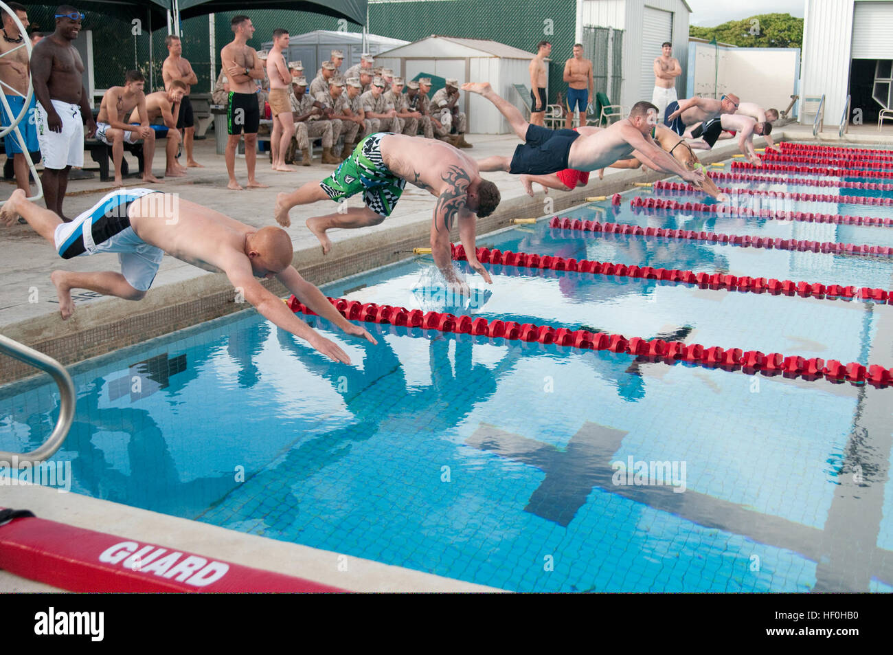 Competitors dive in swimming pool hi-res stock photography and images ...