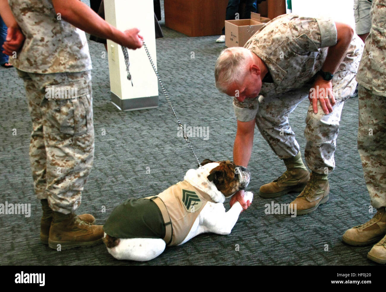 Sgt. Archibald Hummer, the mascot for Marine Corps Recruit Depot Parris ...