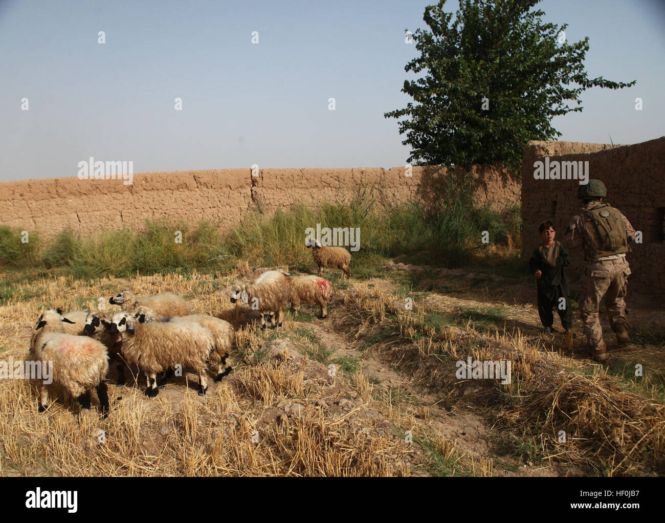 MARJAH DISTRICT, Helmand province, Afghanistan – An interpreter speaks ...