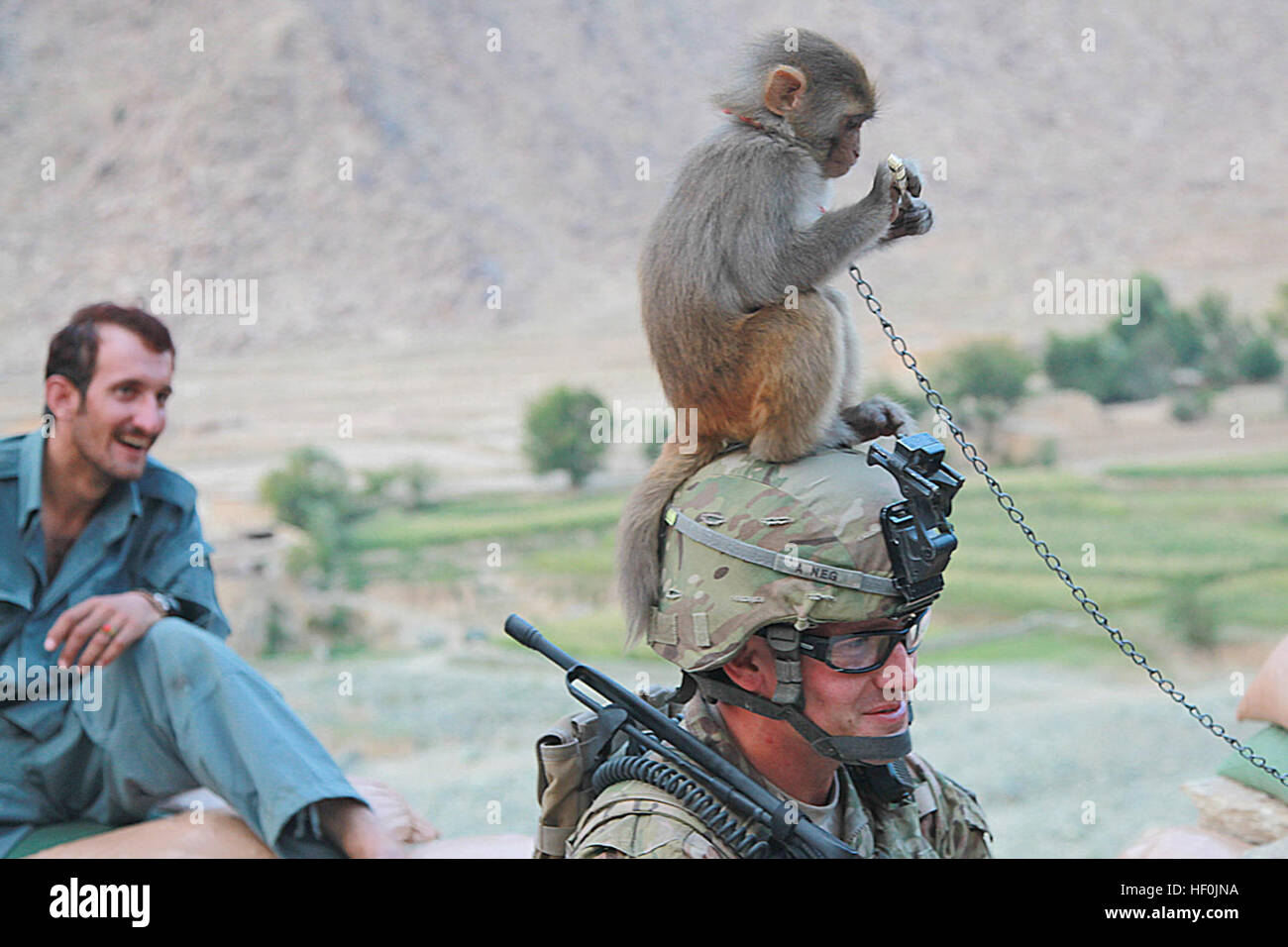 An Afghan National Army pet monkey sits on top of an Advanced Combat ...