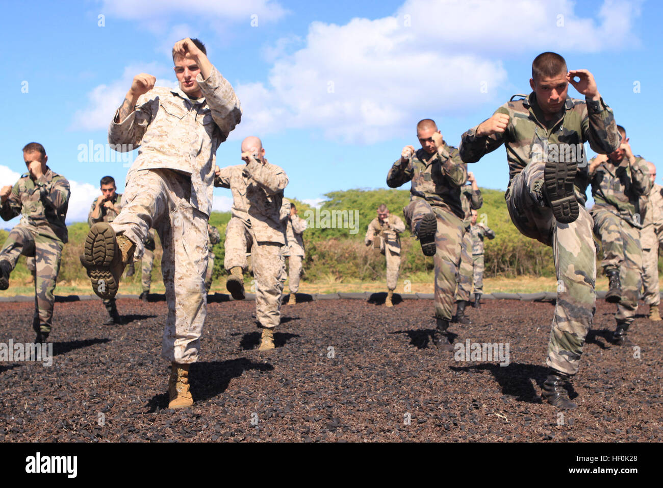 French u s military forces hi-res stock photography and images - Alamy