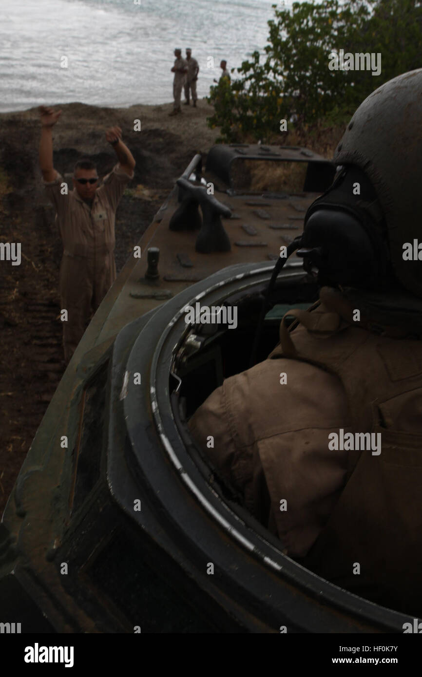 U.S. Marine Sgt. Nolan Lynch halts Lance Cpl. Thomas Cunningham, with ...