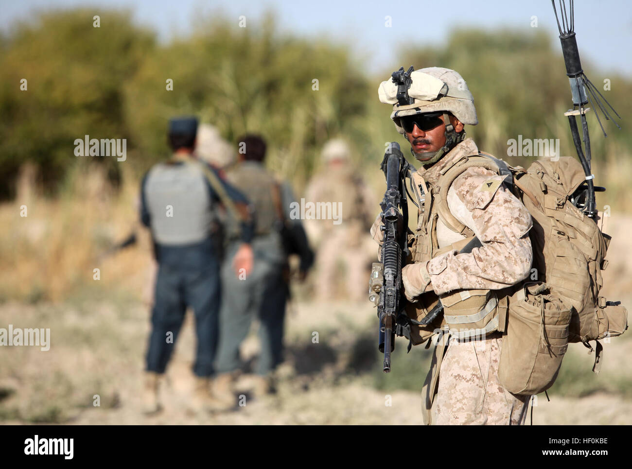 Uniformed rifleman hi-res stock photography and images - Alamy