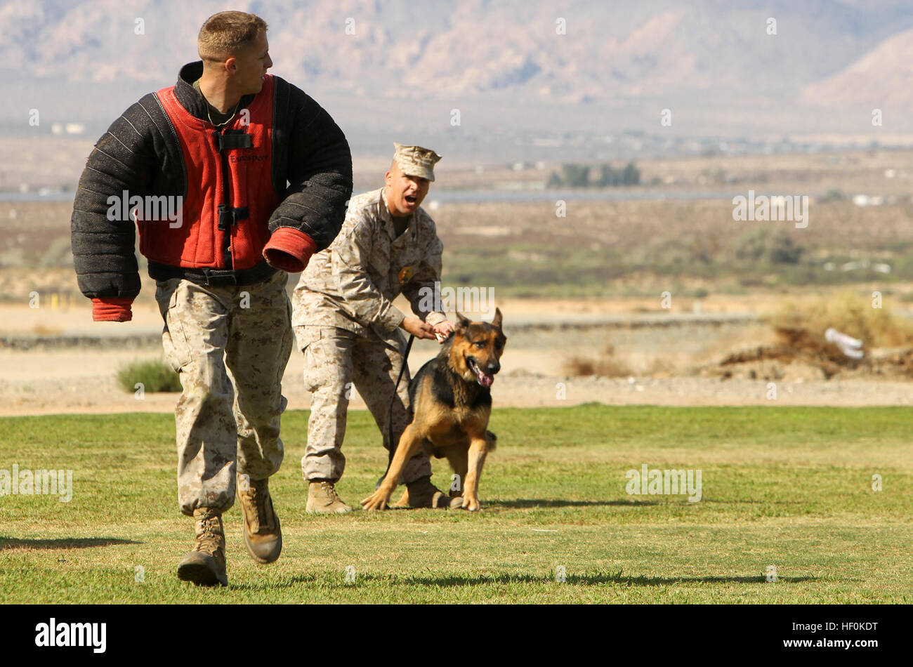 Lance Cpl. Ryan Davis, military police officer, Combat Center's Provost ...