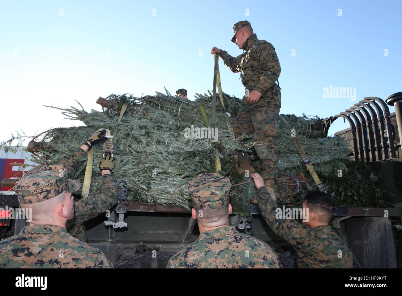 Marine Corps Combat Service Support School, load up Christmas trees ...
