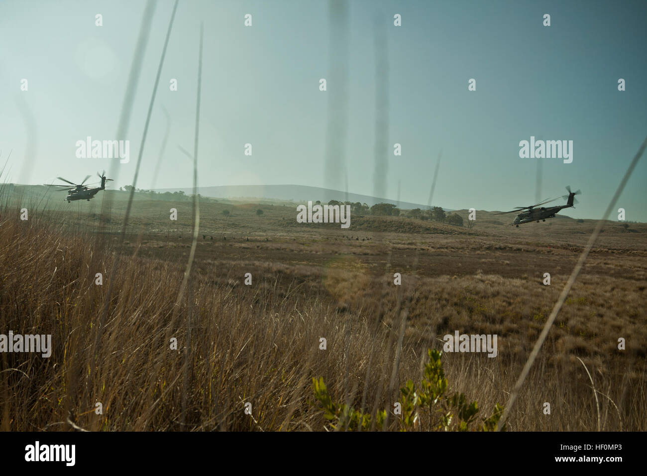 U.S. Marines with Gulf Company, 2nd Battalion, 3rd Marine Regiment are ...