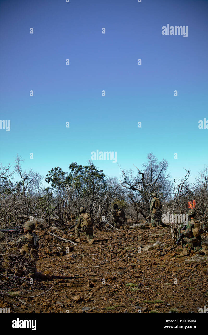 Marines from Echo Company, 2nd Battalion, 3rd Marine Regiment conduct ...