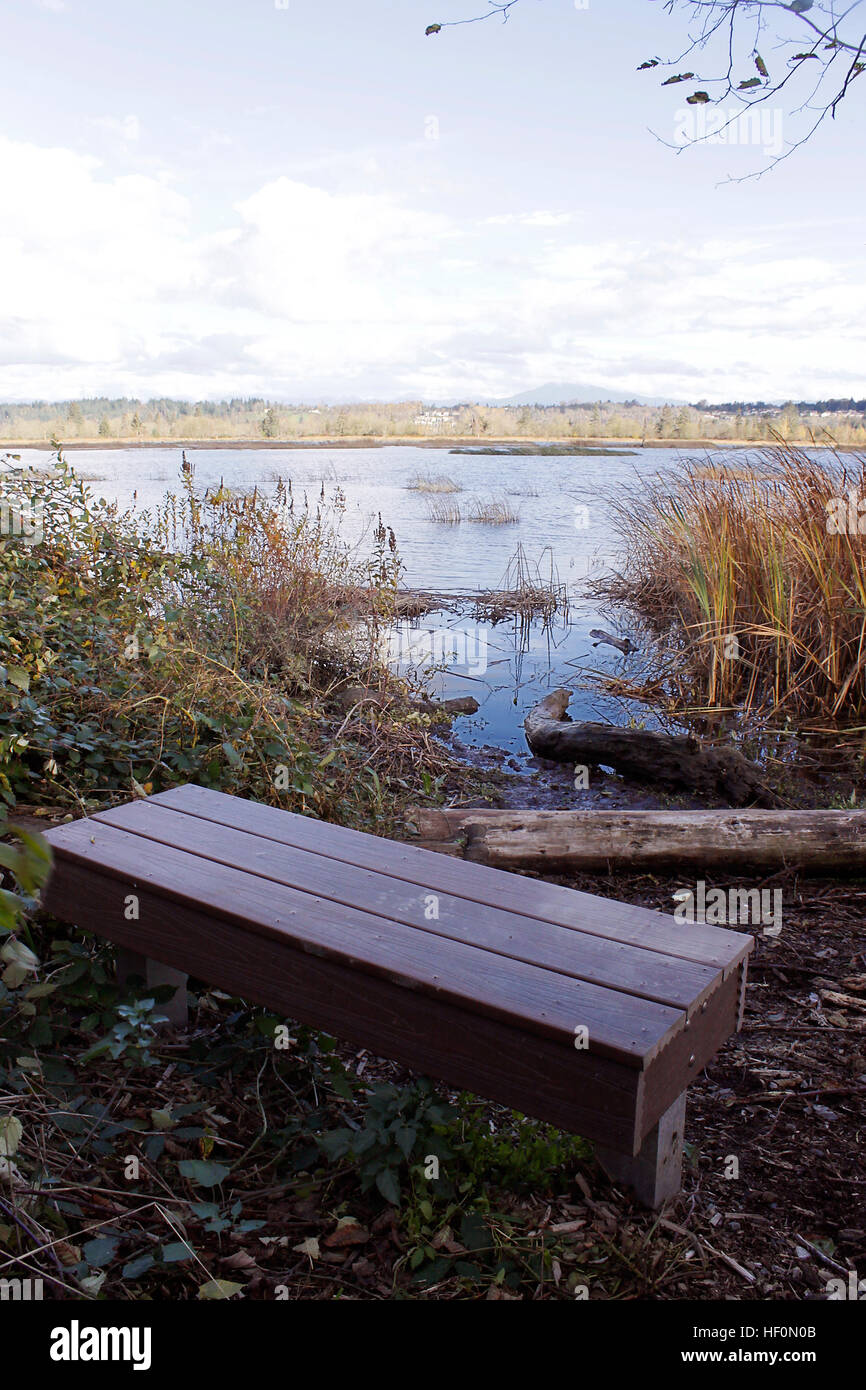 Bench looking out towards lake Stock Photo - Alamy