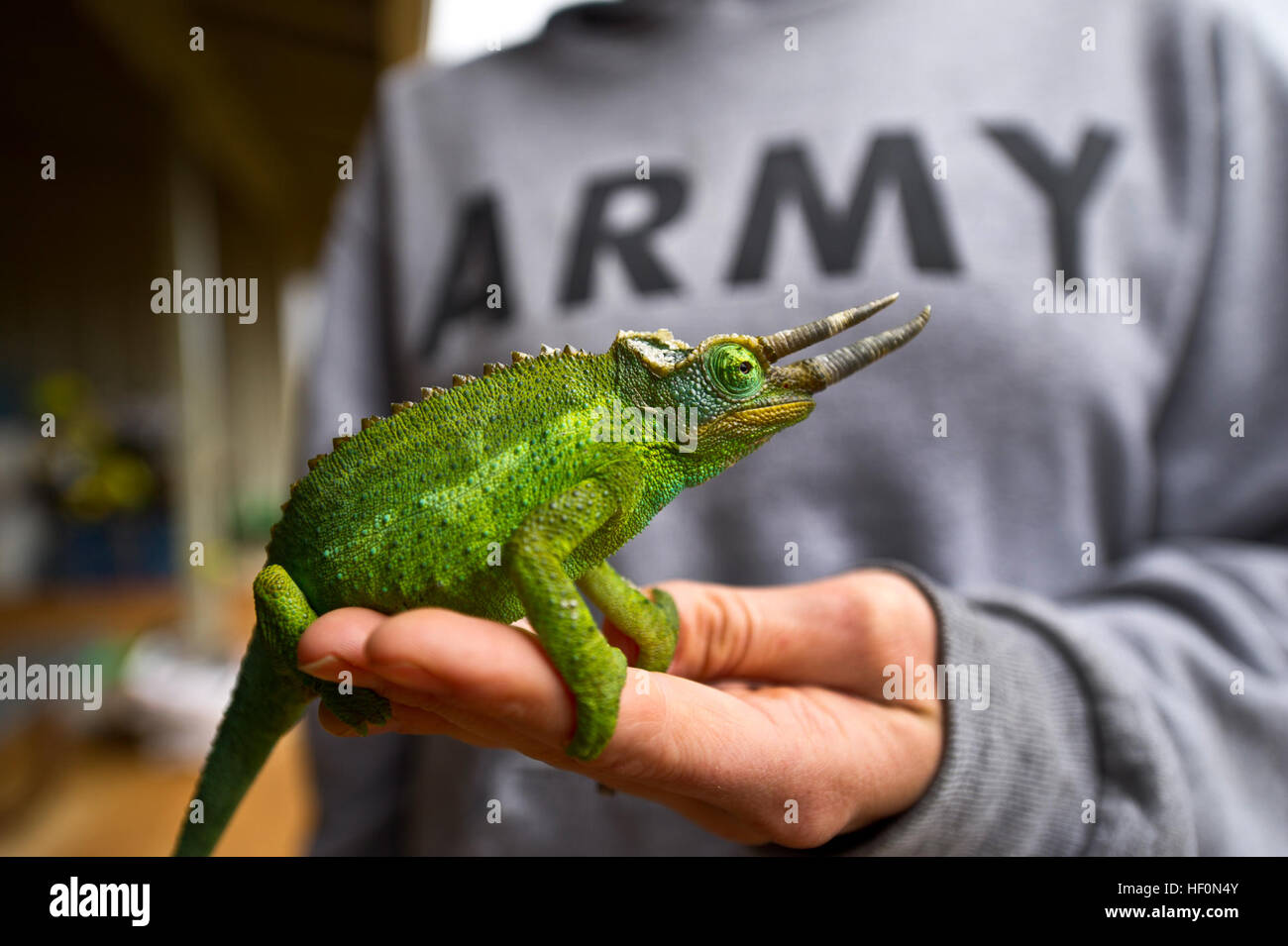 Save u s army conservation program hi-res stock photography and images ...