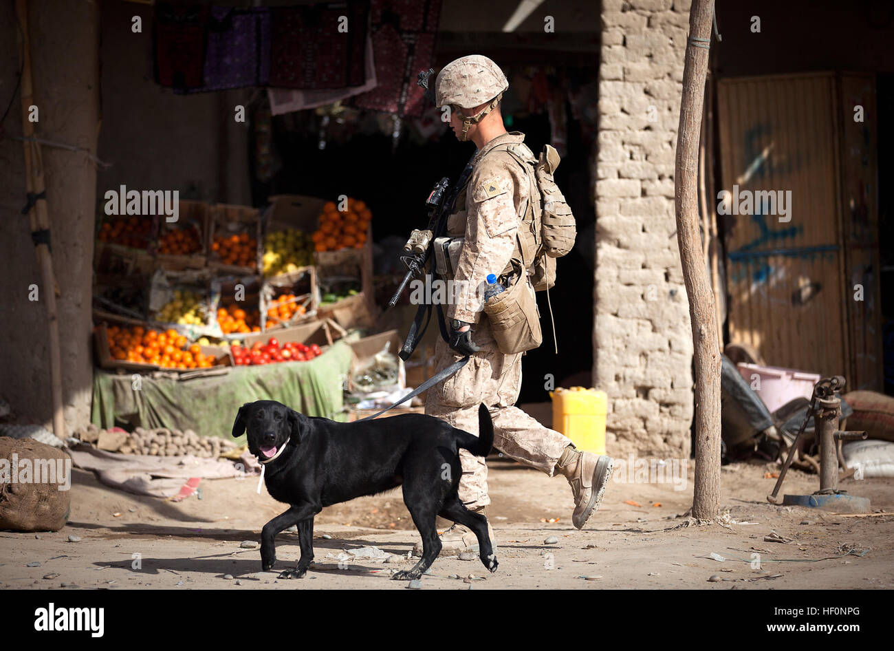 U.S. Marine Cpl. Kyle Click, a dog handler with 3rd Platoon, Kilo ...