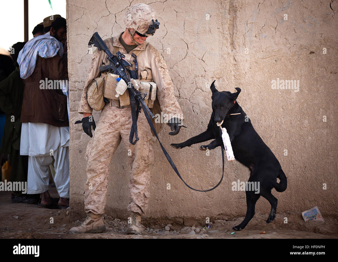 U.S. Marine Cpl. Kyle Click, a dog handler with 3rd Platoon, Kilo ...