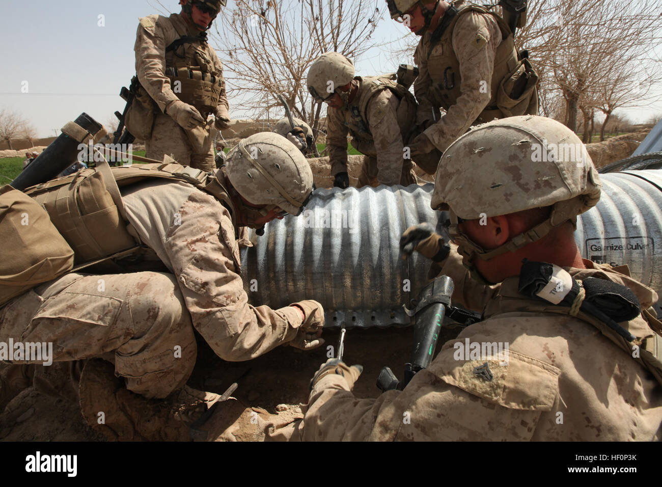 Marines company 1st engineers battalion hi-res stock photography and ...