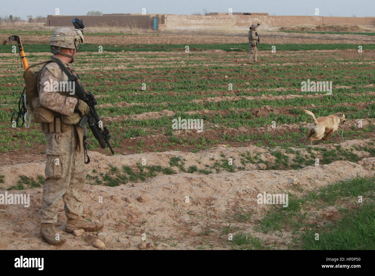 A U.S. Marine with Weapons Company, 2nd Battalion, 6th Marine Regiment ...