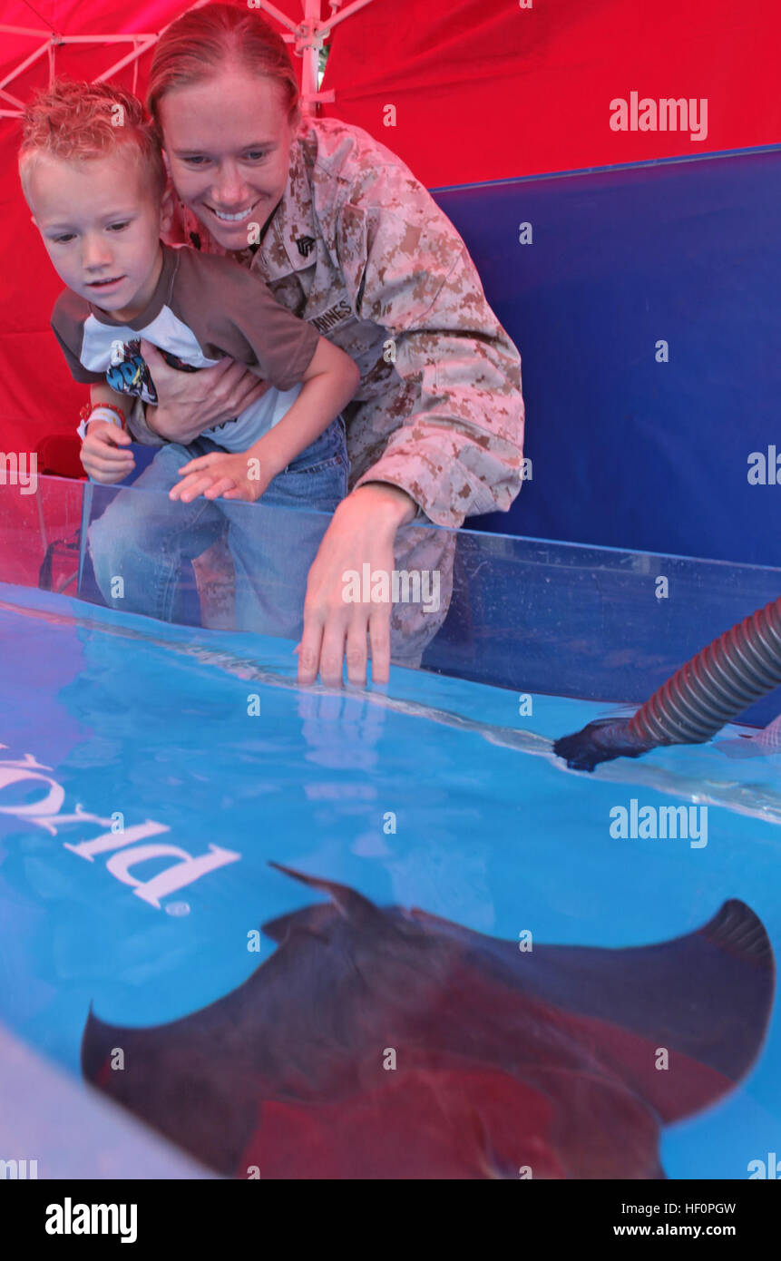 Marine Corps personnel and SeaWorld ambassadors host an educational and ...