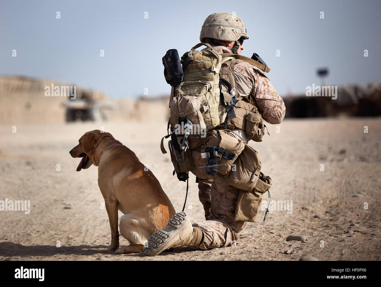 U.S. Marine Lance Cpl. Ken Bissonette, a dog handler with 4th Platoon ...