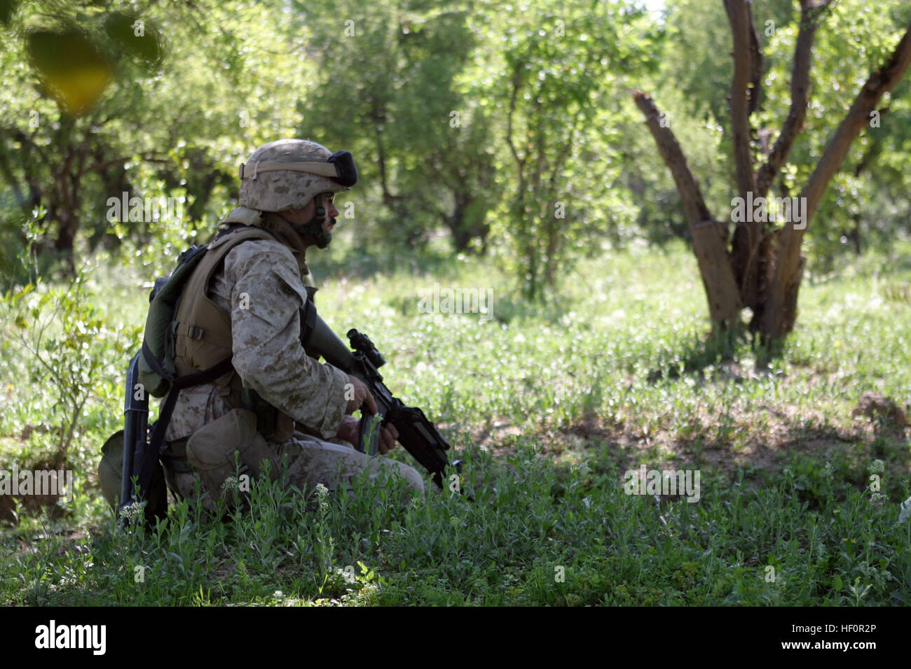Special forces grove hi-res stock photography and images - Alamy