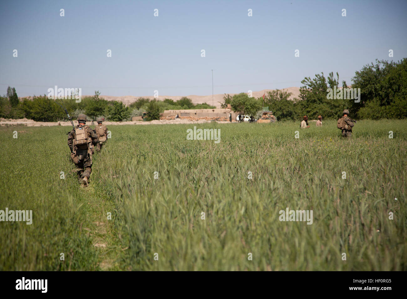 Delta 1st battalion 4th marines hi-res stock photography and images - Alamy