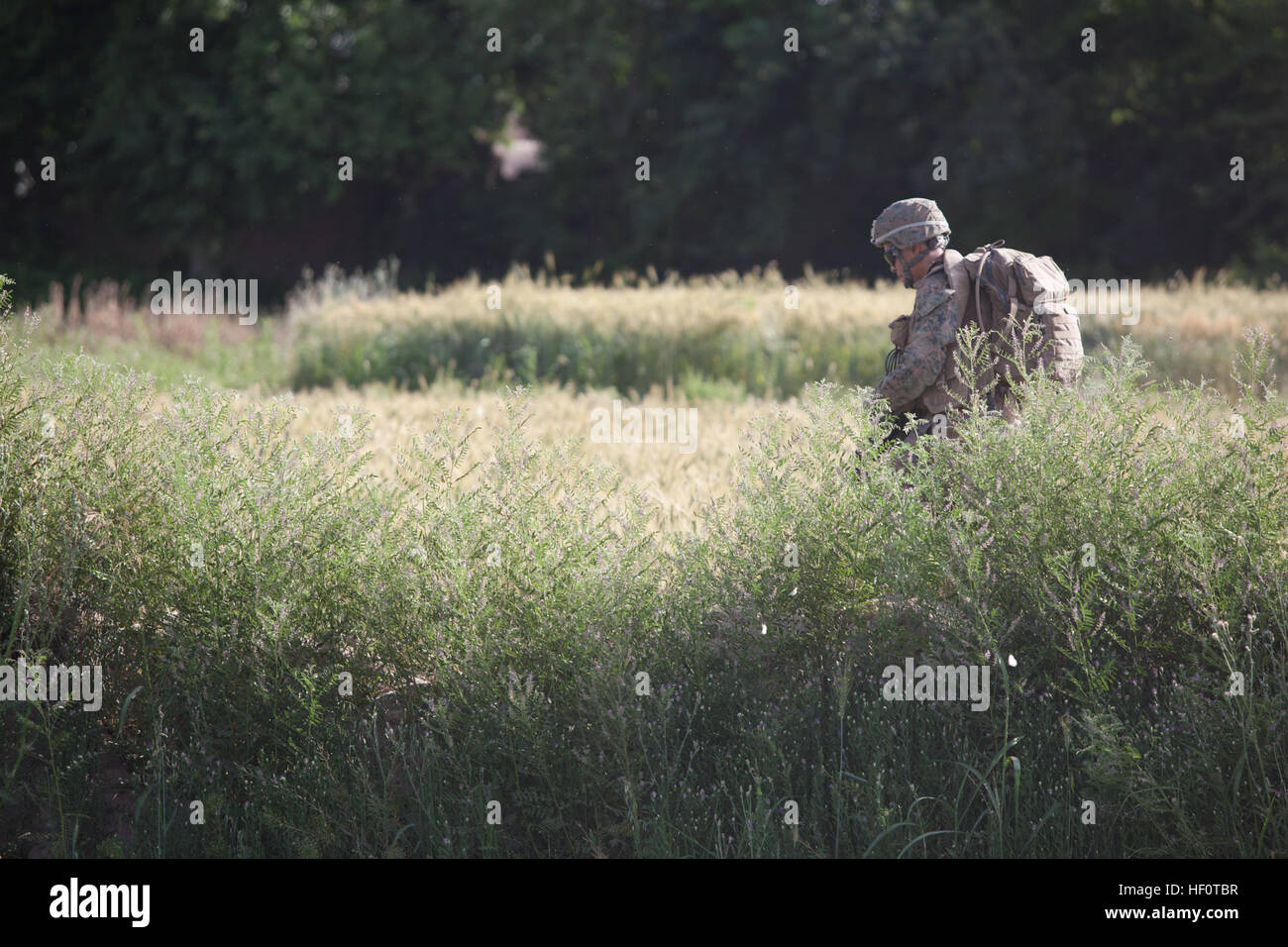 U.S. Marine Corps Lance Cpl. Eric Vargas, a machine gunner with Police ...