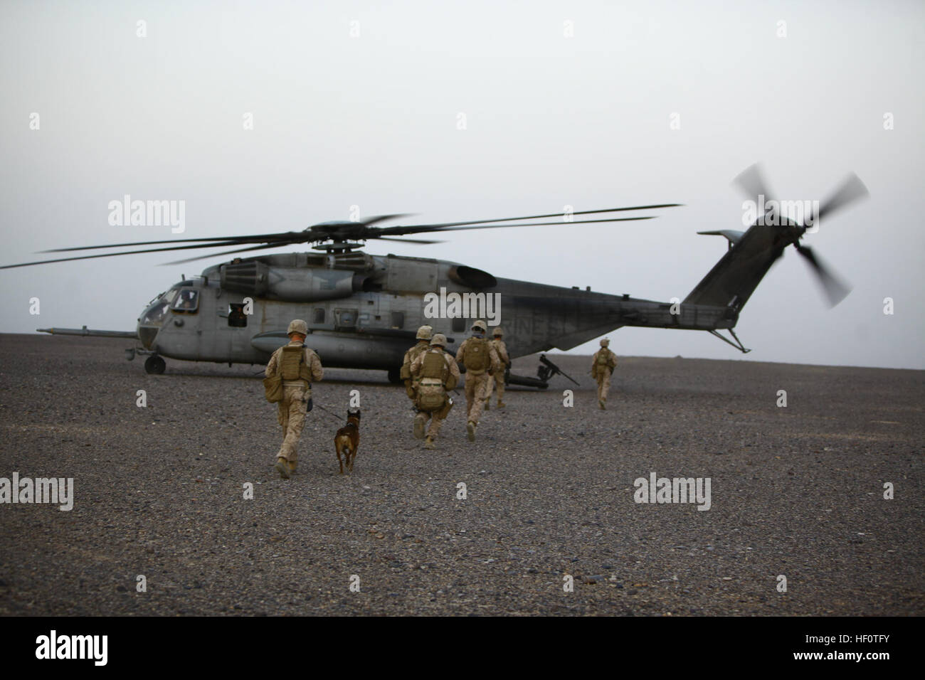 U.S. Marines Corps Military Police Company, Regimental Combat Team 5 ...