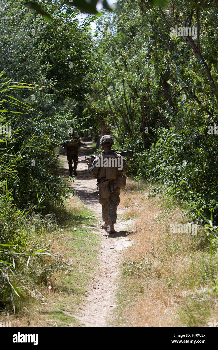 Regimental walk hi-res stock photography and images - Alamy
