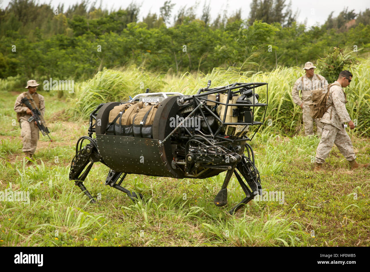 The Legged Squad Support System (LS3) walks around the Kahuku Training ...