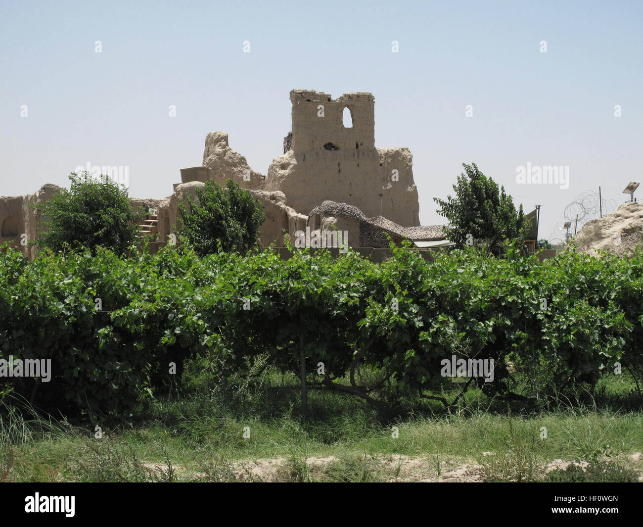 Neshin hi-res stock photography and images - Alamy