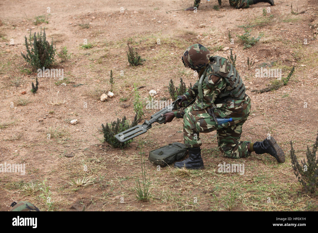 Mine detection team hi-res stock photography and images - Alamy