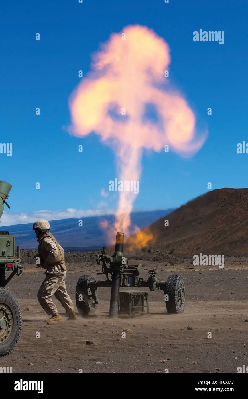 Lance Cpl. Cameron McAllister, a cannoneer from Charlie Battery, 1st ...