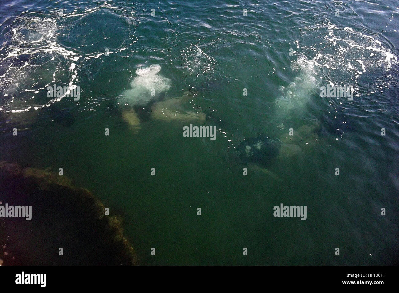 Reconnaissance Marines with the 15th MEU swim to the USS Arizona during ...