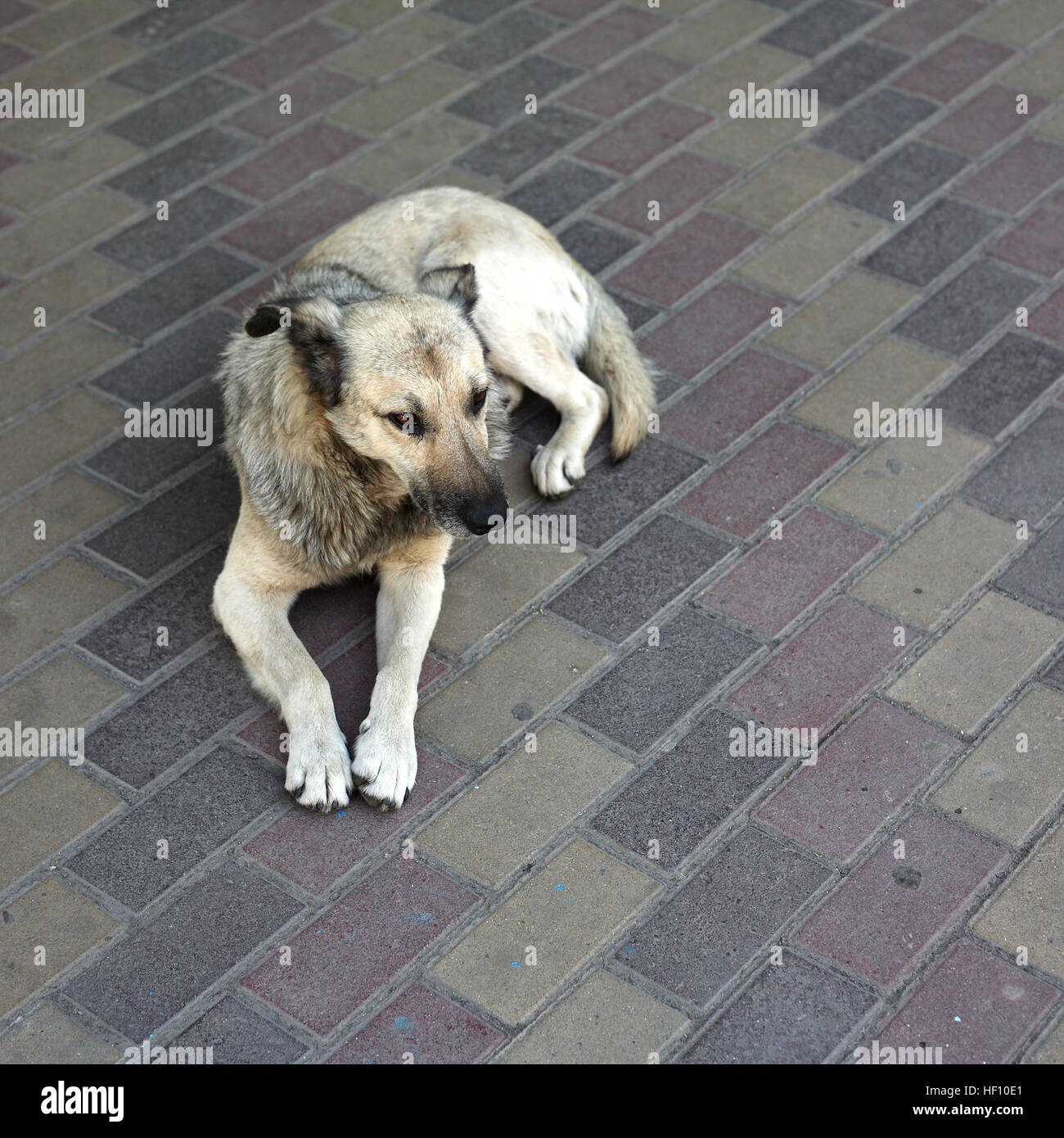 Homelessness shelter outdoors hi-res stock photography and images - Alamy