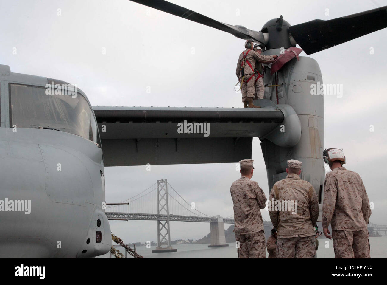 U.S. Marines with Marine Medium Tiltrotor Squadron 166 (VMM-166), 13th ...