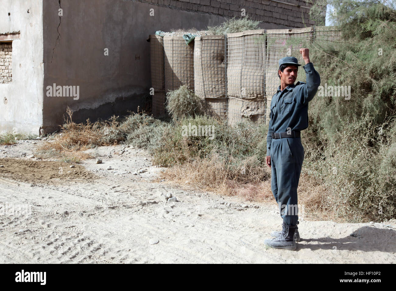 An Afghan Local Police (ALP) trainee signals for his patrol to halt ...