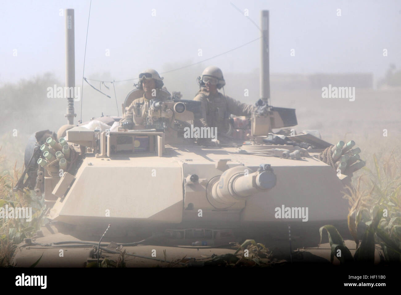 After receiving small arms fire from a corn field, a tank scouts the ...