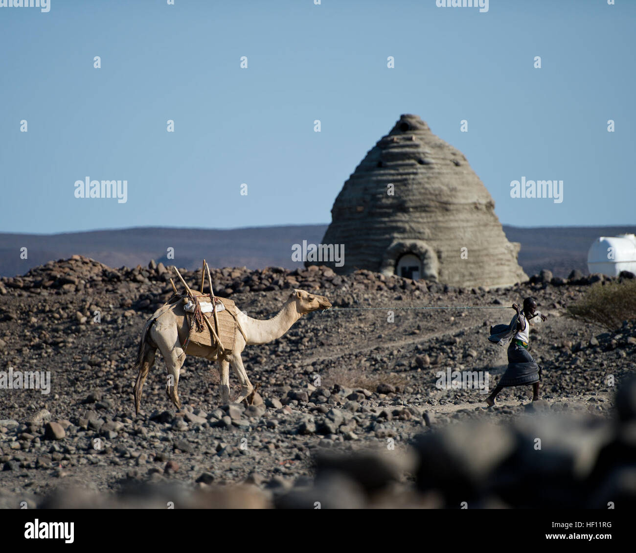 A local villager and his camel pass in front of the nearly complete eco ...