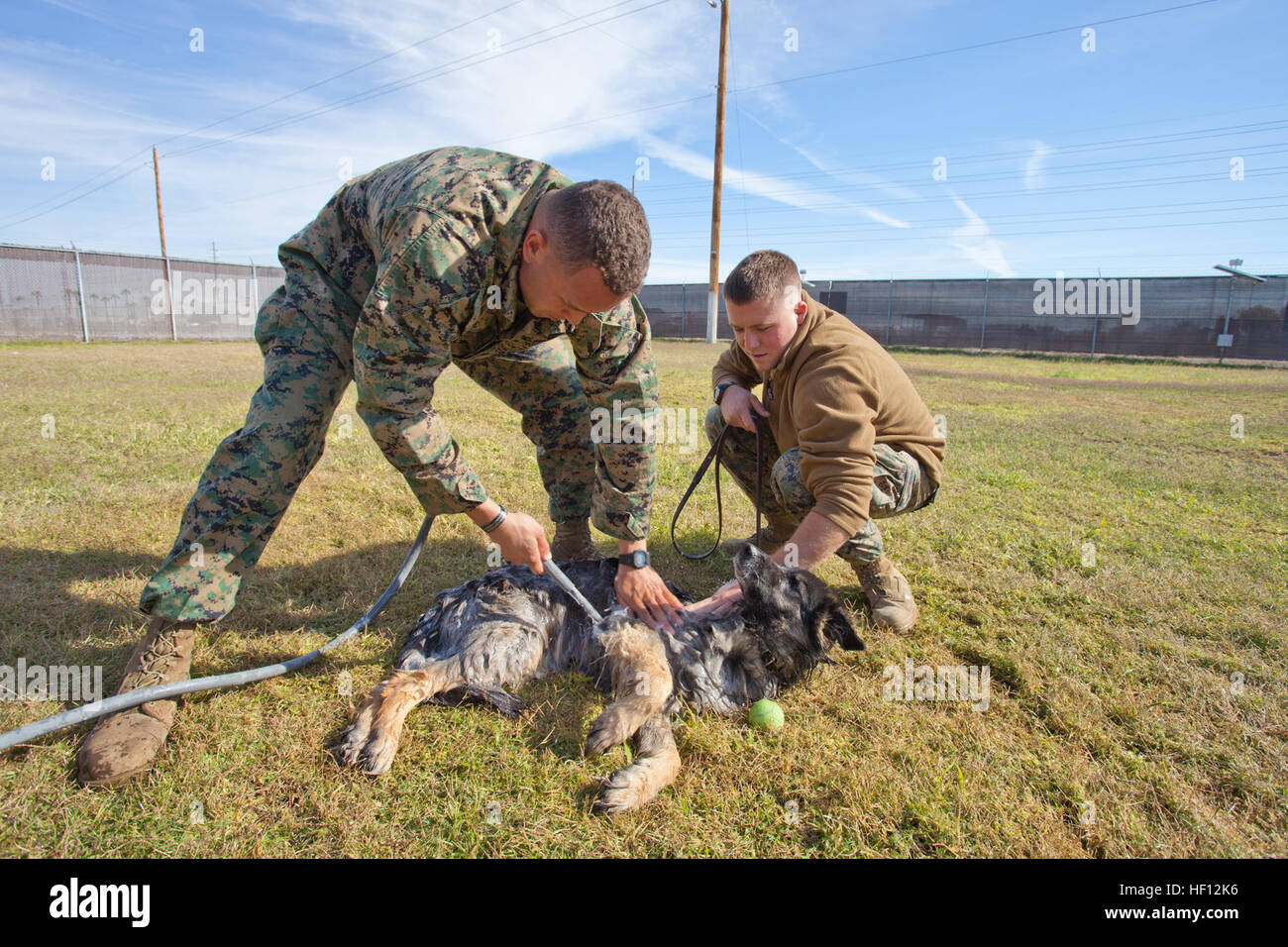 Marine k 9 dog handlers from hi-res stock photography and images - Alamy