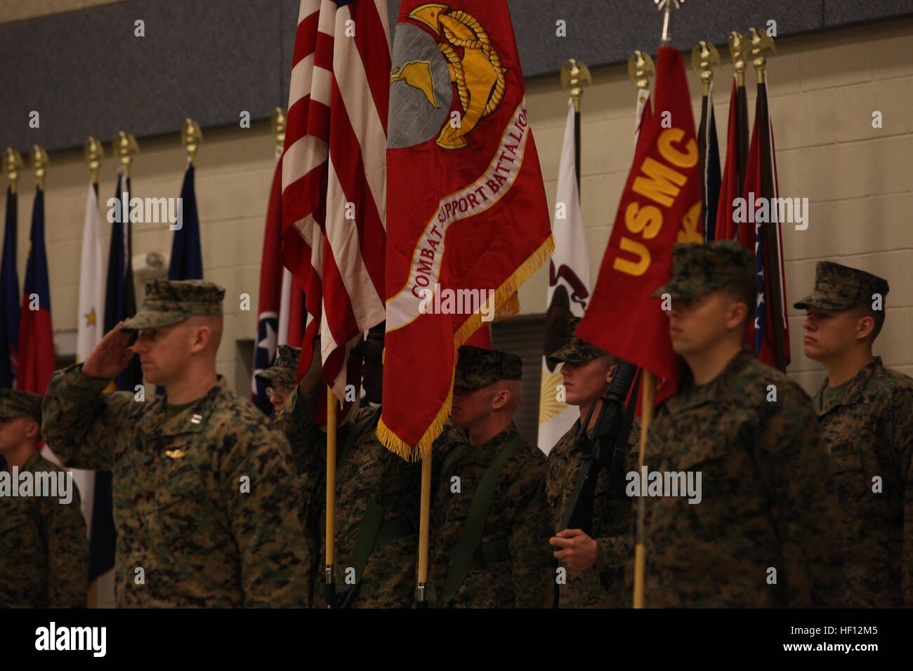 The organizational color of the new Marine Special Operations Combat ...