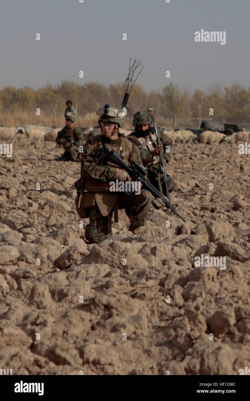 U.S. Marine Corps Lance Cpl. Clinton Rivas, Lima Company, 3rd Battalion ...