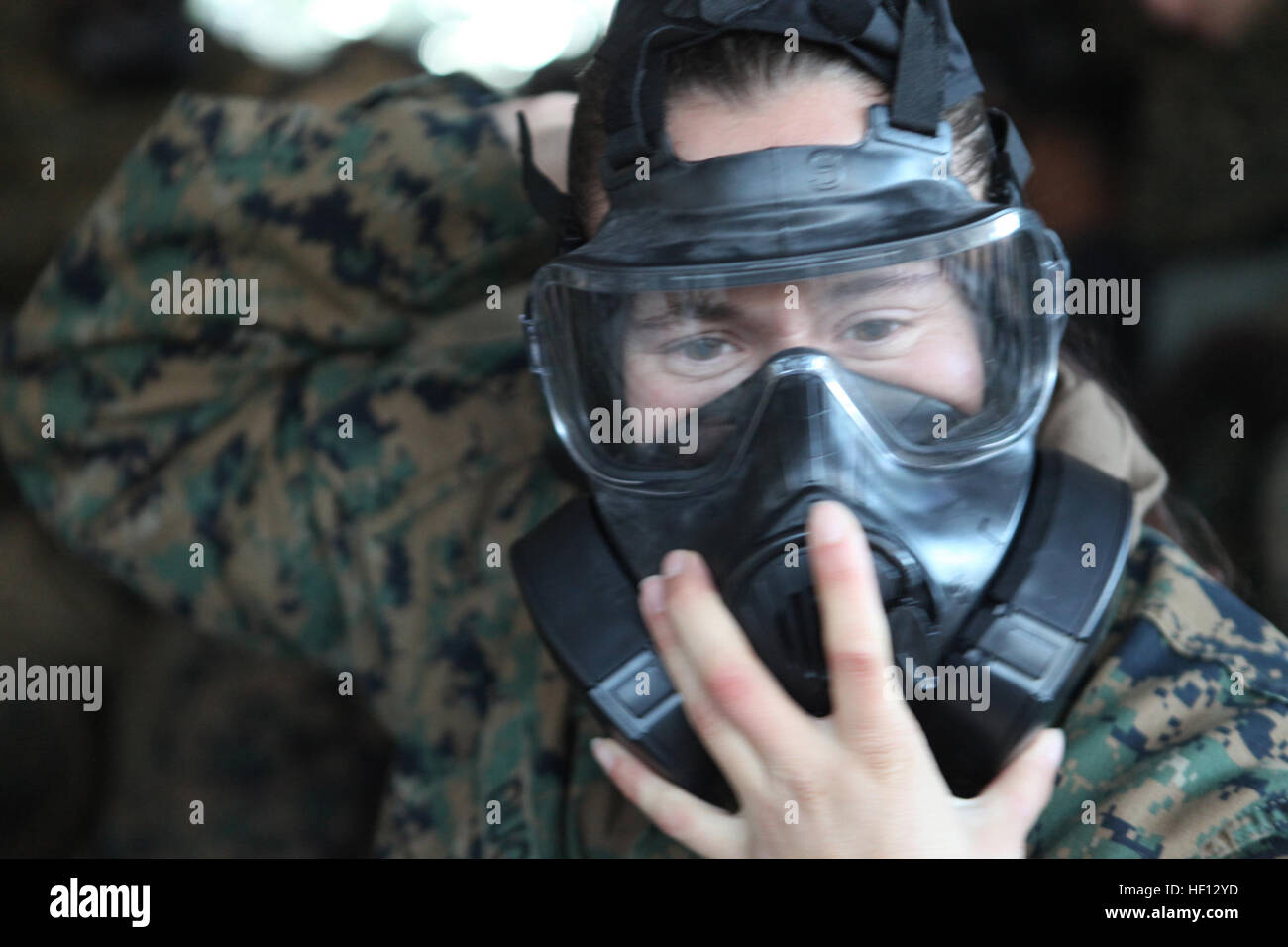 Marines with Combat Logistics Regiment 27, 2nd Marine Logistics Group ...