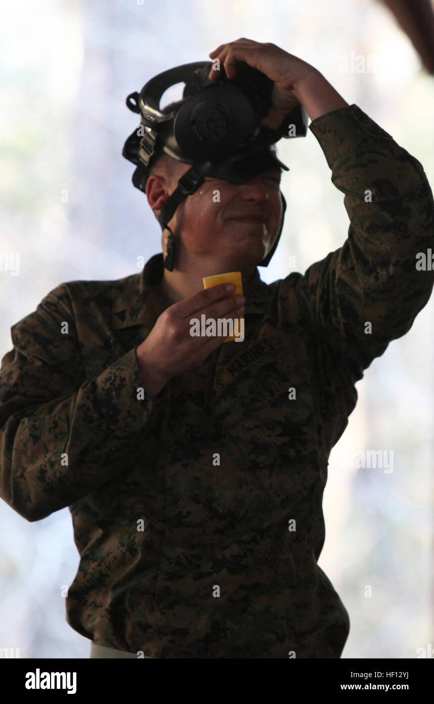 Marines with Combat Logistics Regiment 27, 2nd Marine Logistics Group ...