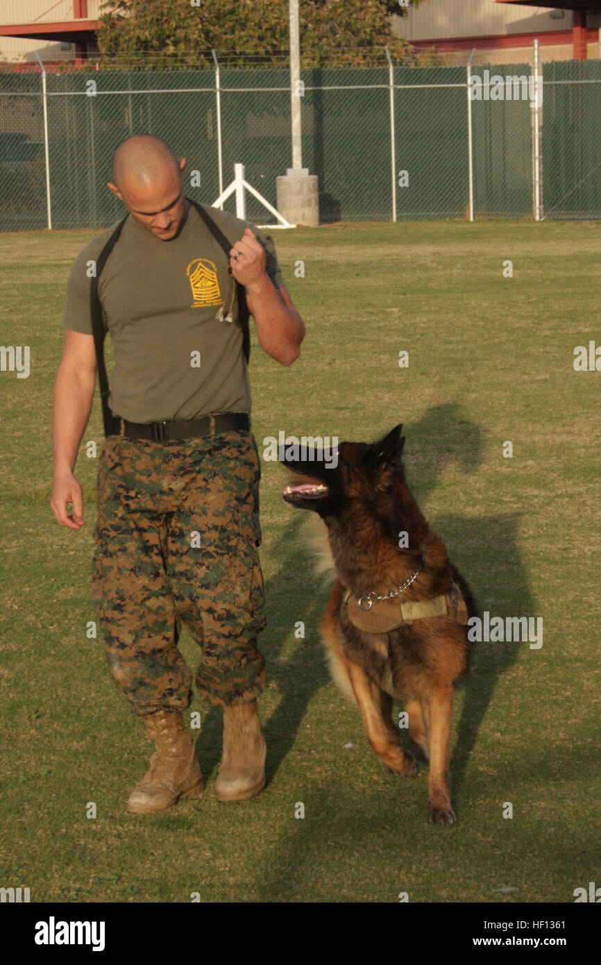 The military working dog section at Marine Corps Air Station Miramar ...