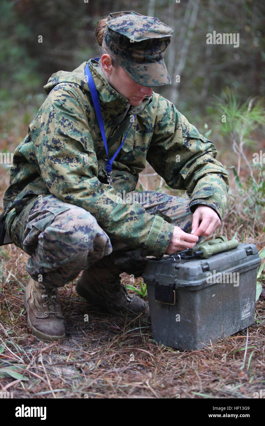 Cpl. Heather L. Haglin, a combat engineer with 8th Engineer Support ...