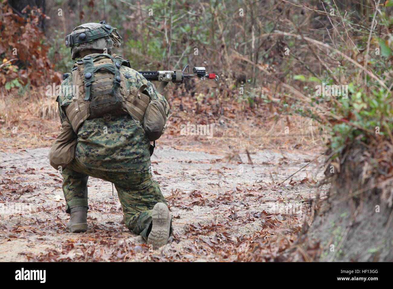 A Marine with 8th Engineer Support Battalion, 2nd Marine Logistics ...