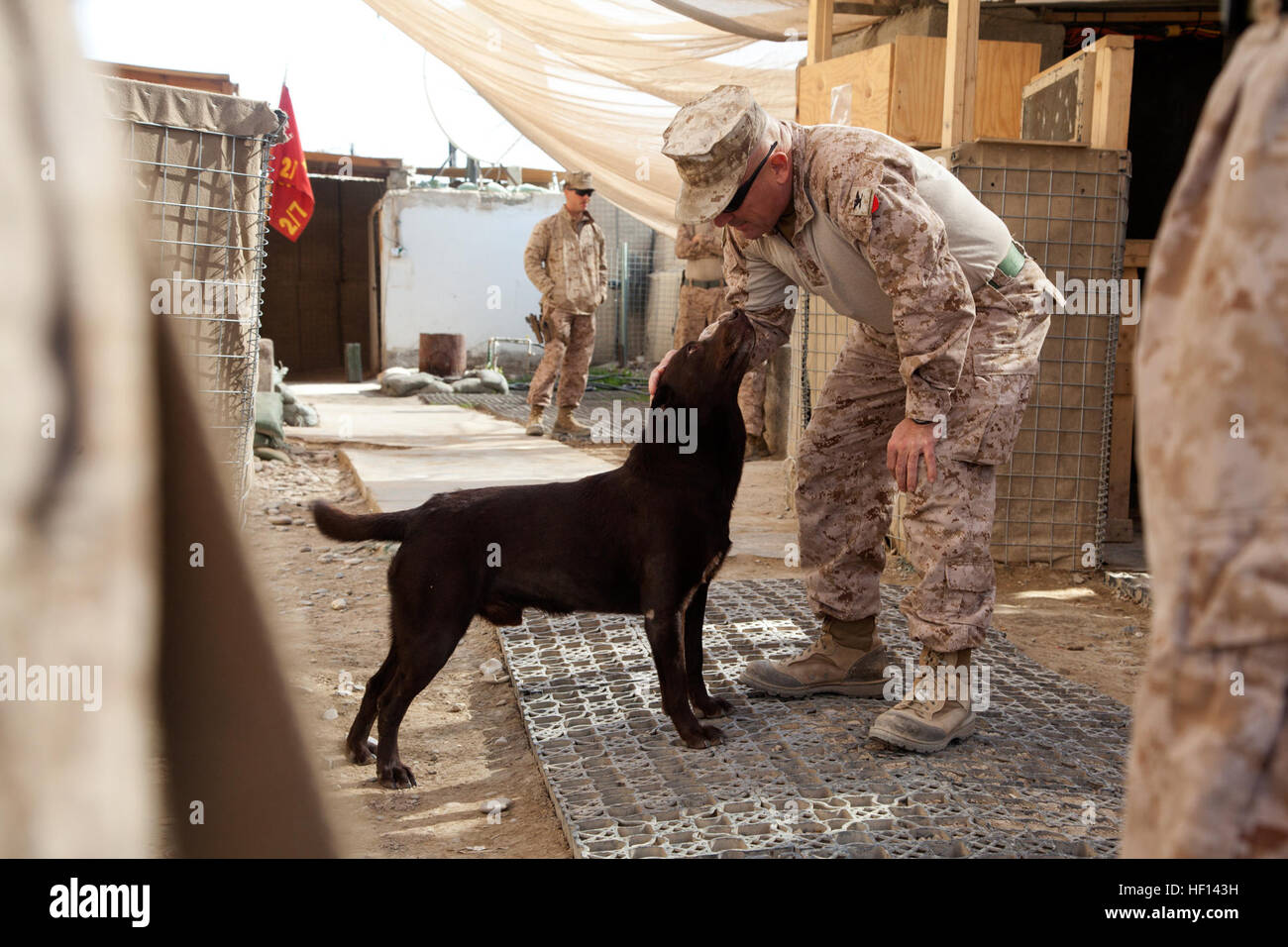 U.S. Marine Corps Col. Austin E. Renforth, commanding officer ...